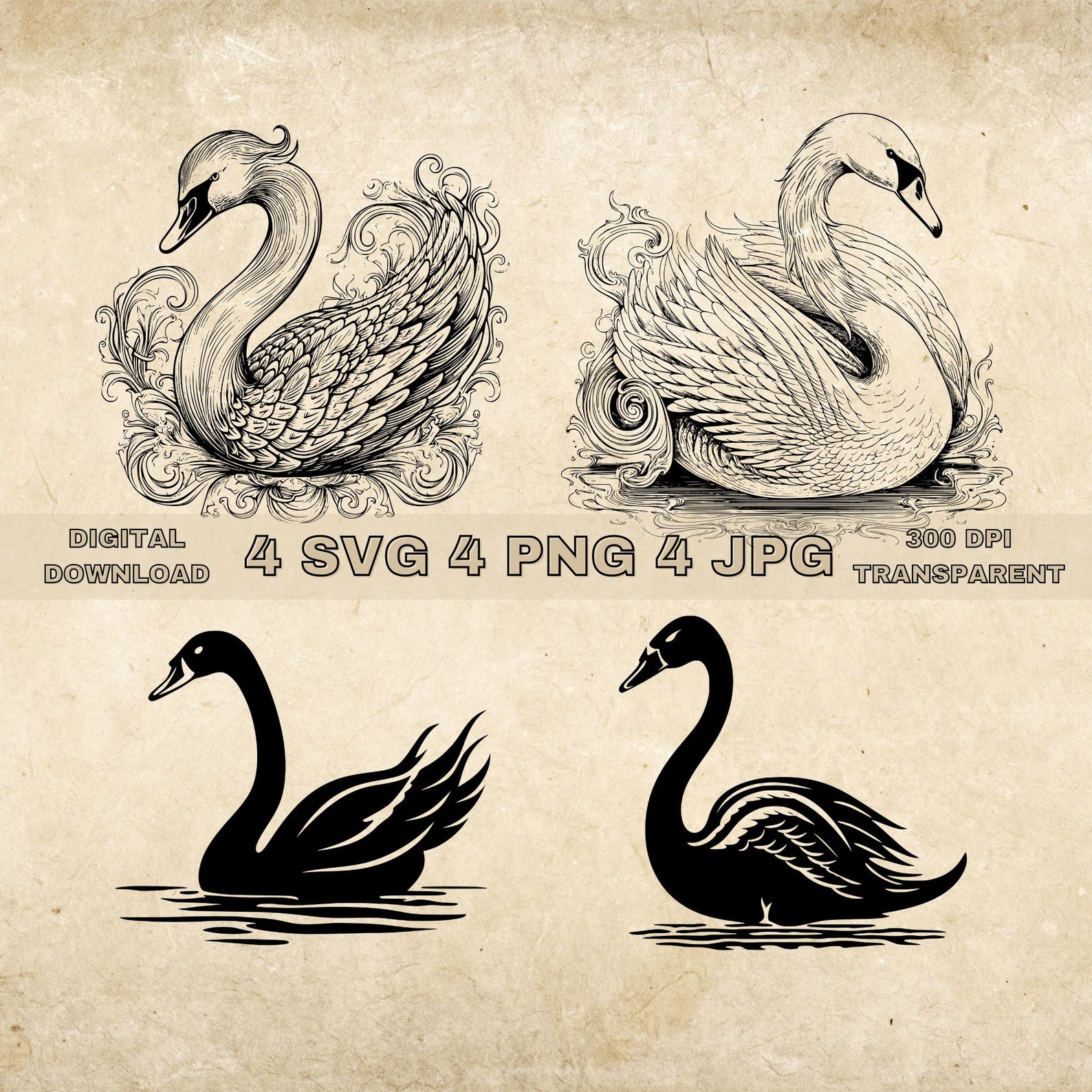 Swan SVG Bundle PNG Swan Clipart Hand Drawn Swans Graphic - Etsy