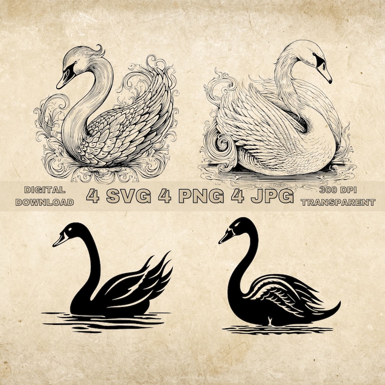 Swan SVG Bundle PNG Swan Clipart Hand Drawn Swans Graphic - Etsy