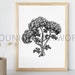 Broccoli SVG Bundle, PNG, Broccoli Clipart, Hand Drawn Broccoli Vector ...