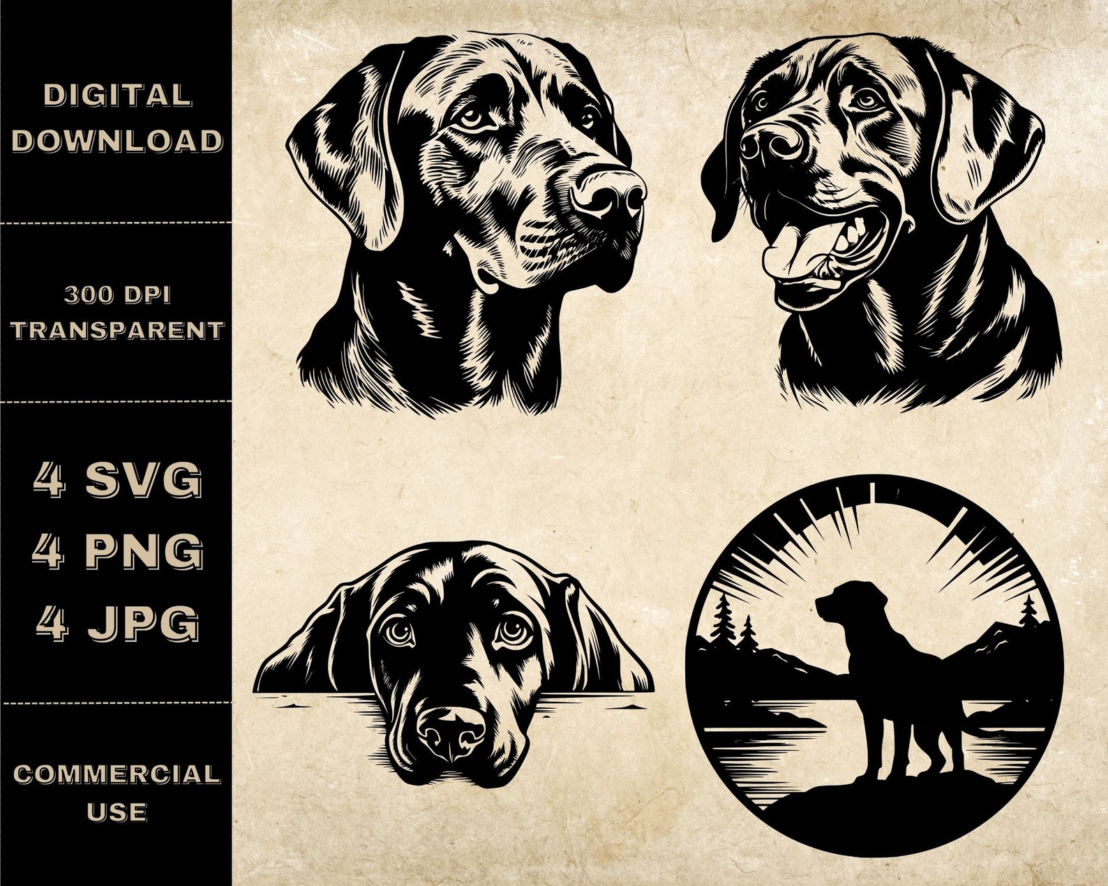 Labrador SVG Bundle, PNG, Labrador Head Clipart, Hand Drawn Peeking Dog ...