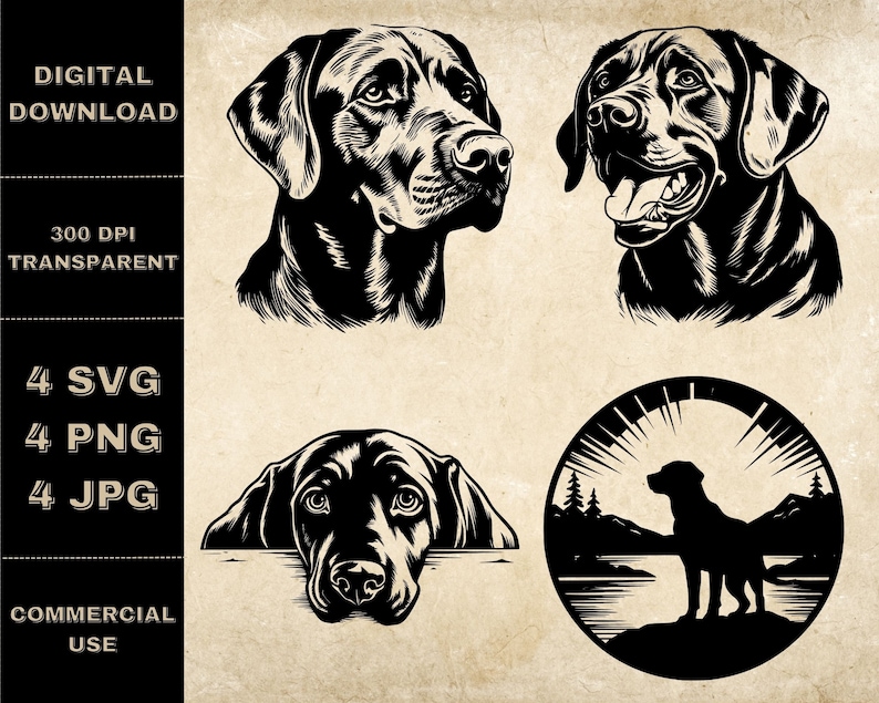 Labrador SVG Bundle, PNG, Labrador Head Clipart, Hand Drawn Peeking Dog ...