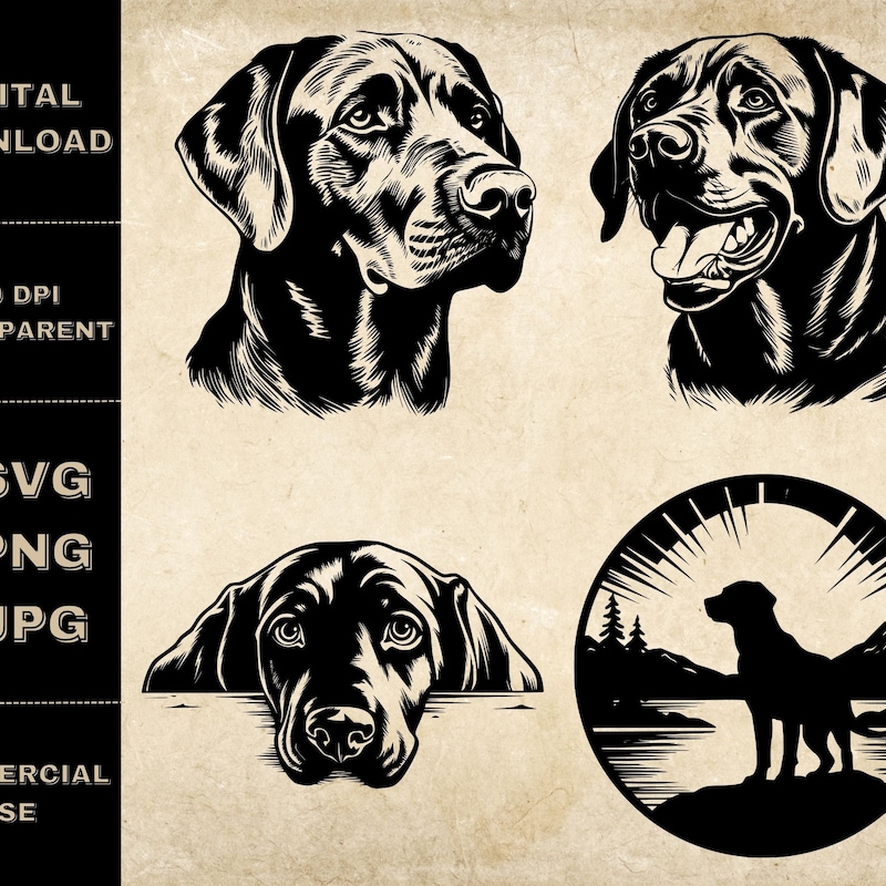 Peeking Lab Svg - Etsy