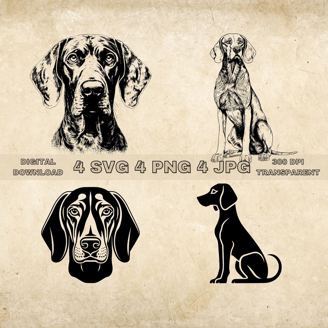 Weimaraner SVG Bundle, PNG, Cute Dogs Clipart, Hand Drawn Dog Vector ...