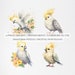 Cockatiel Clipart, Cockatiel PNG, Cute Birds Clip Art for Nursery Decor ...