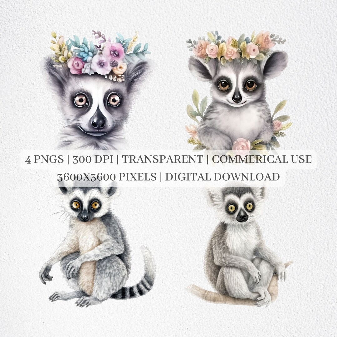 Cute Lemur Clipart, Lemur PNG Files for Sublimation, Lemur Clip Art ...