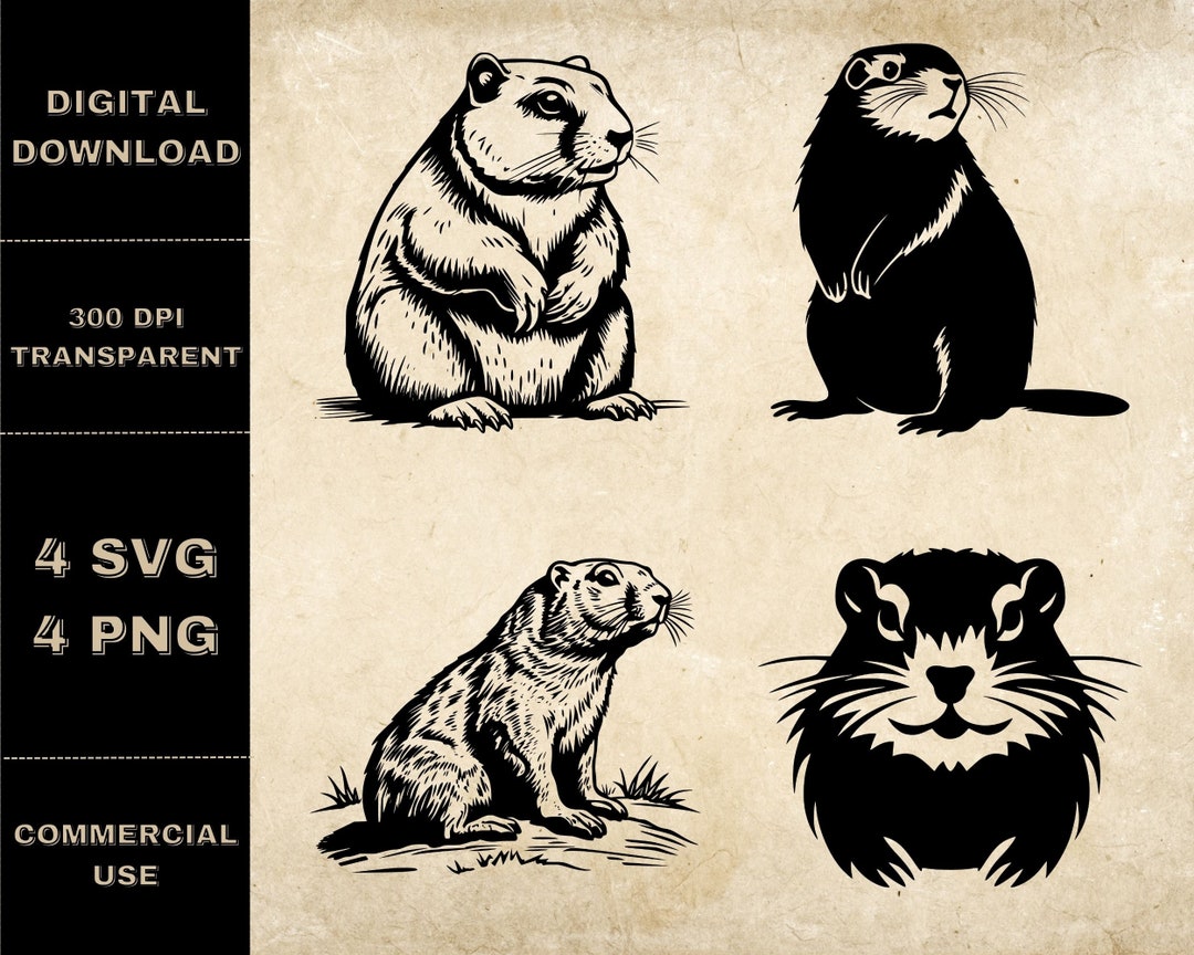 Gopher SVG Bundle, PNG, Gopher Clipart, Hand Drawn Gopher Vector Illustration, SVG Files for ...