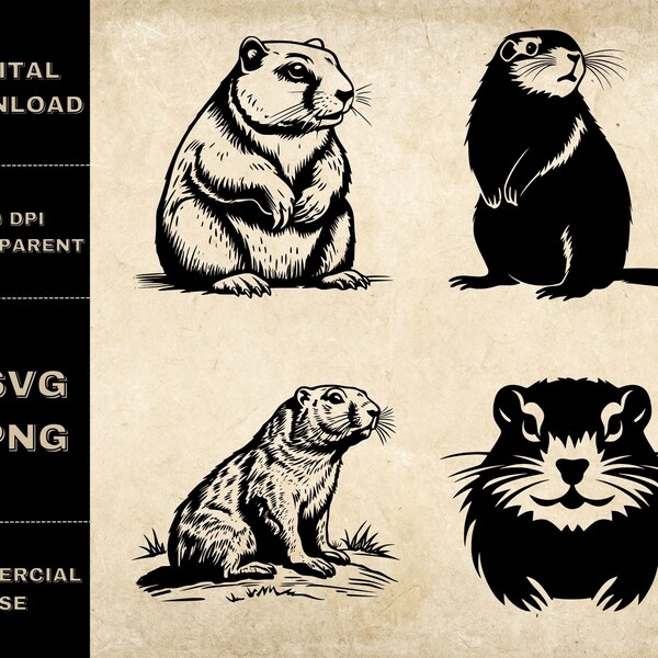 Gopher Svg - Etsy
