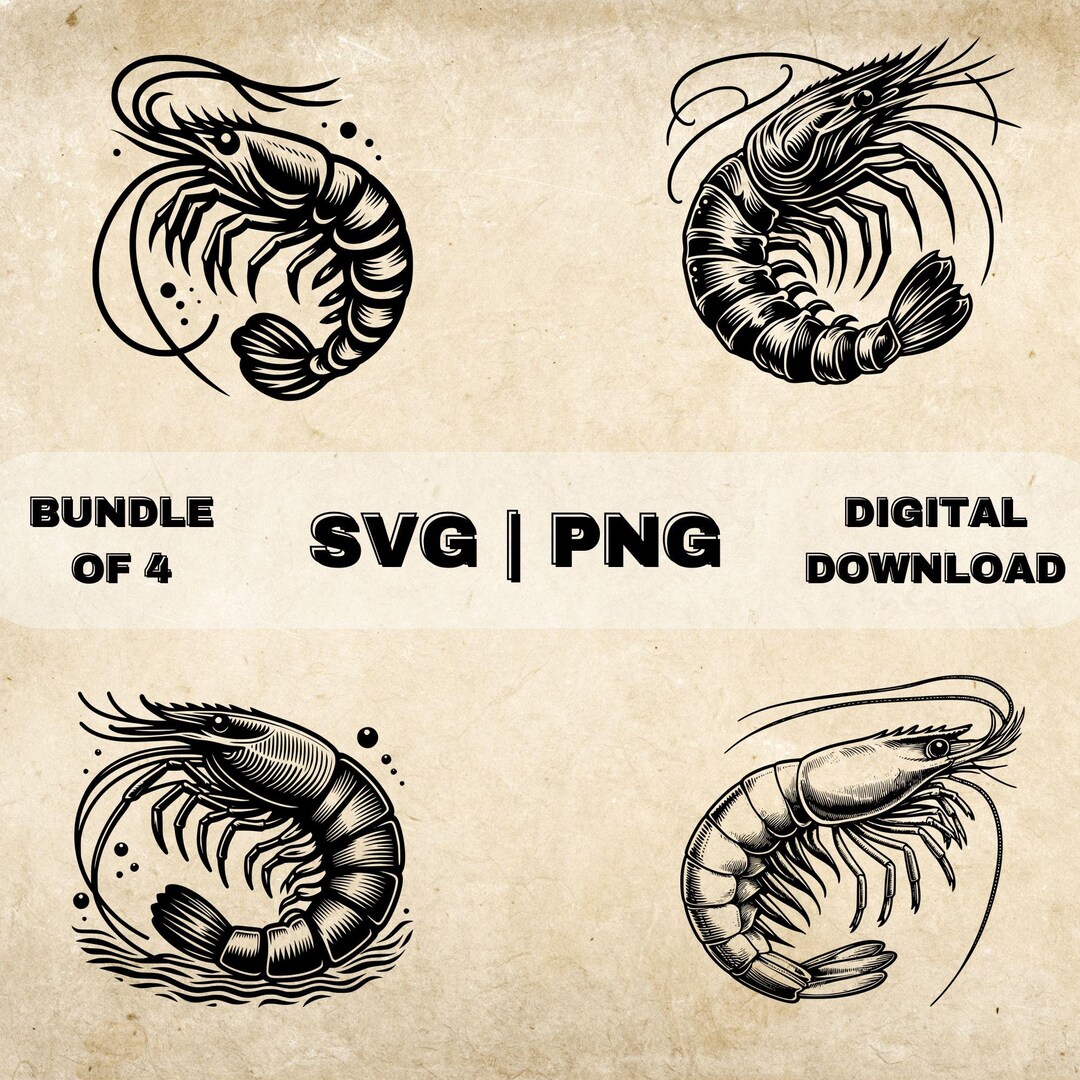 Shrimp SVG Bundle, Seafood Clipart, Hand Drawn Sea Life Ocean Theme ...