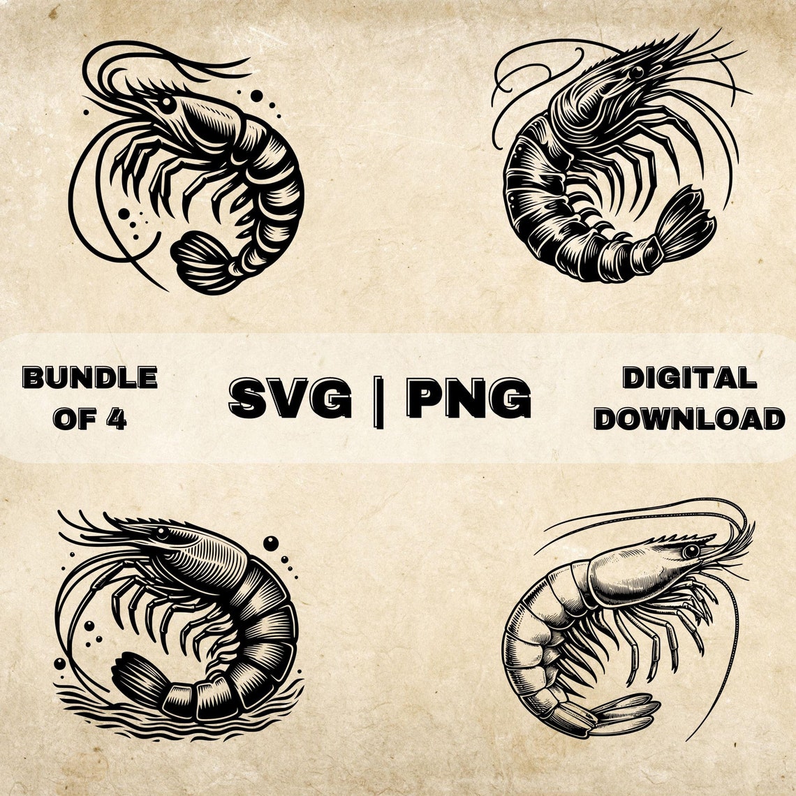 Shrimp SVG Bundle, Seafood Clipart, Hand Drawn Sea Life Ocean Theme ...