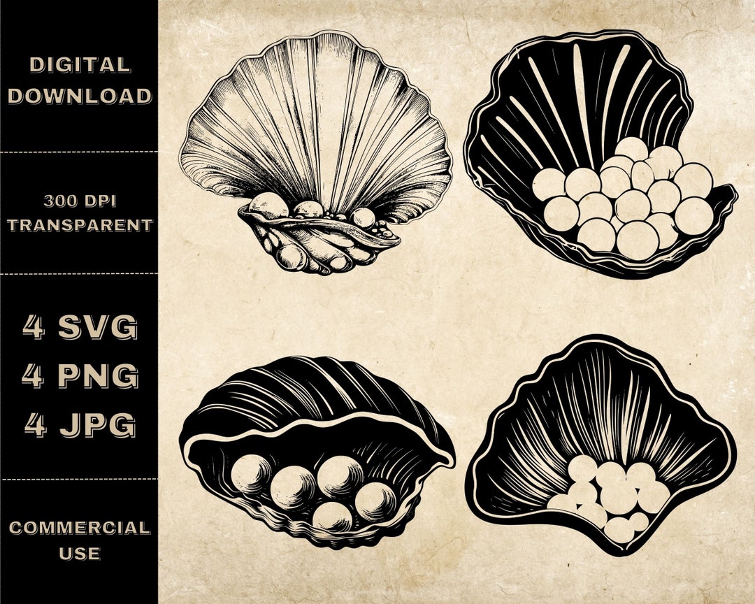 Clam With Pearl SVG Bundle, PNG, Clam Clipart, Hand Drawn Sea Shells ...