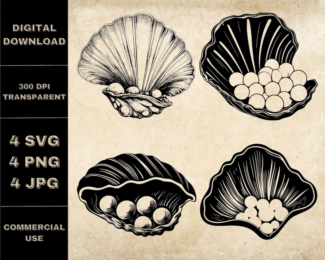 Clam With Pearl SVG Bundle PNG Clam Clipart Hand Drawn Sea - Etsy