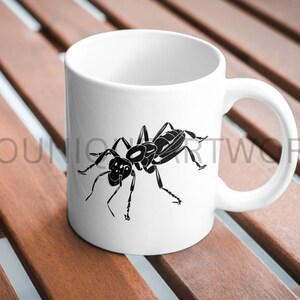 Ant SVG Bundle, PNG, Bug Clipart, Hand Drawn Insect Vector Illustration ...