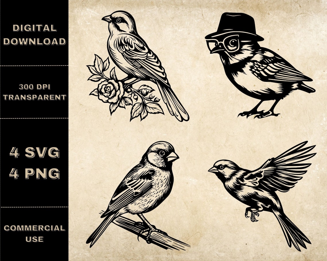 Sparrow SVG Bundle PNG Sparrow Clipart Hand Drawn Sparrow - Etsy