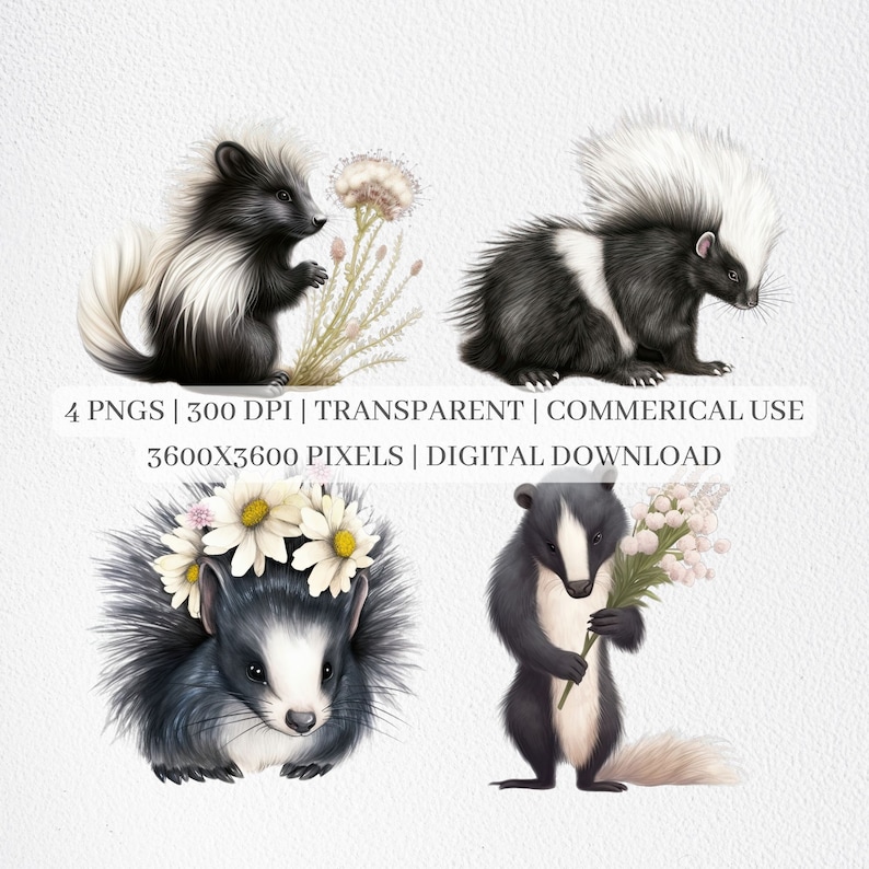 Cute Skunk Clipart, Skunks PNG Files for Sublimation, Skunk Clip Art ...