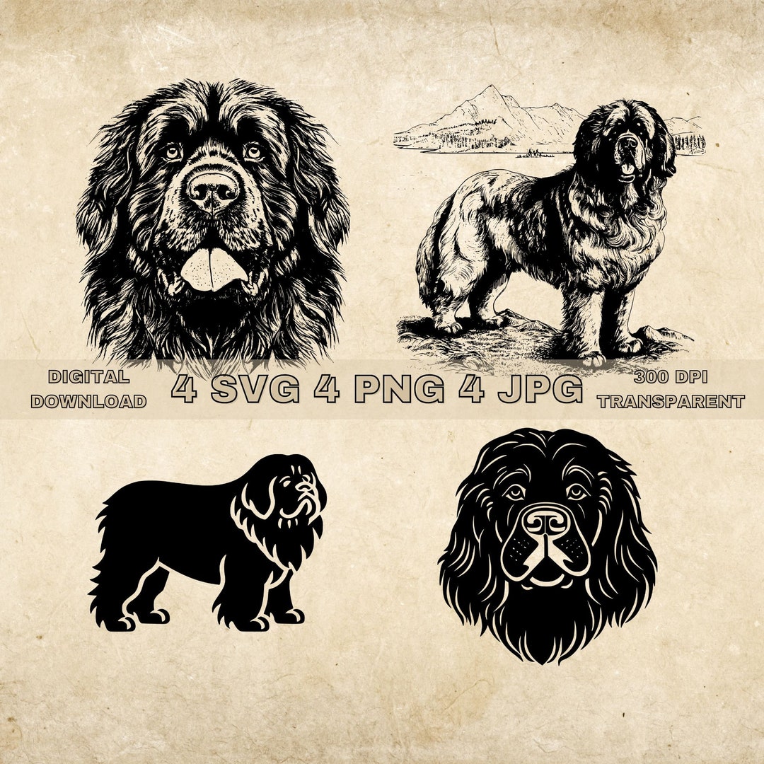 Newfoundland SVG Bundle, PNG, Dogs Clipart, Hand Drawn Dog Vector ...