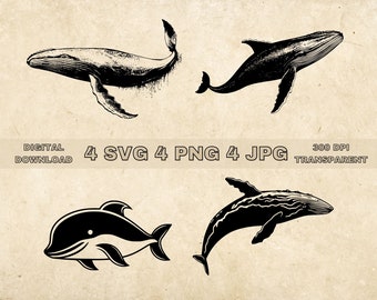 Whale SVG - Etsy