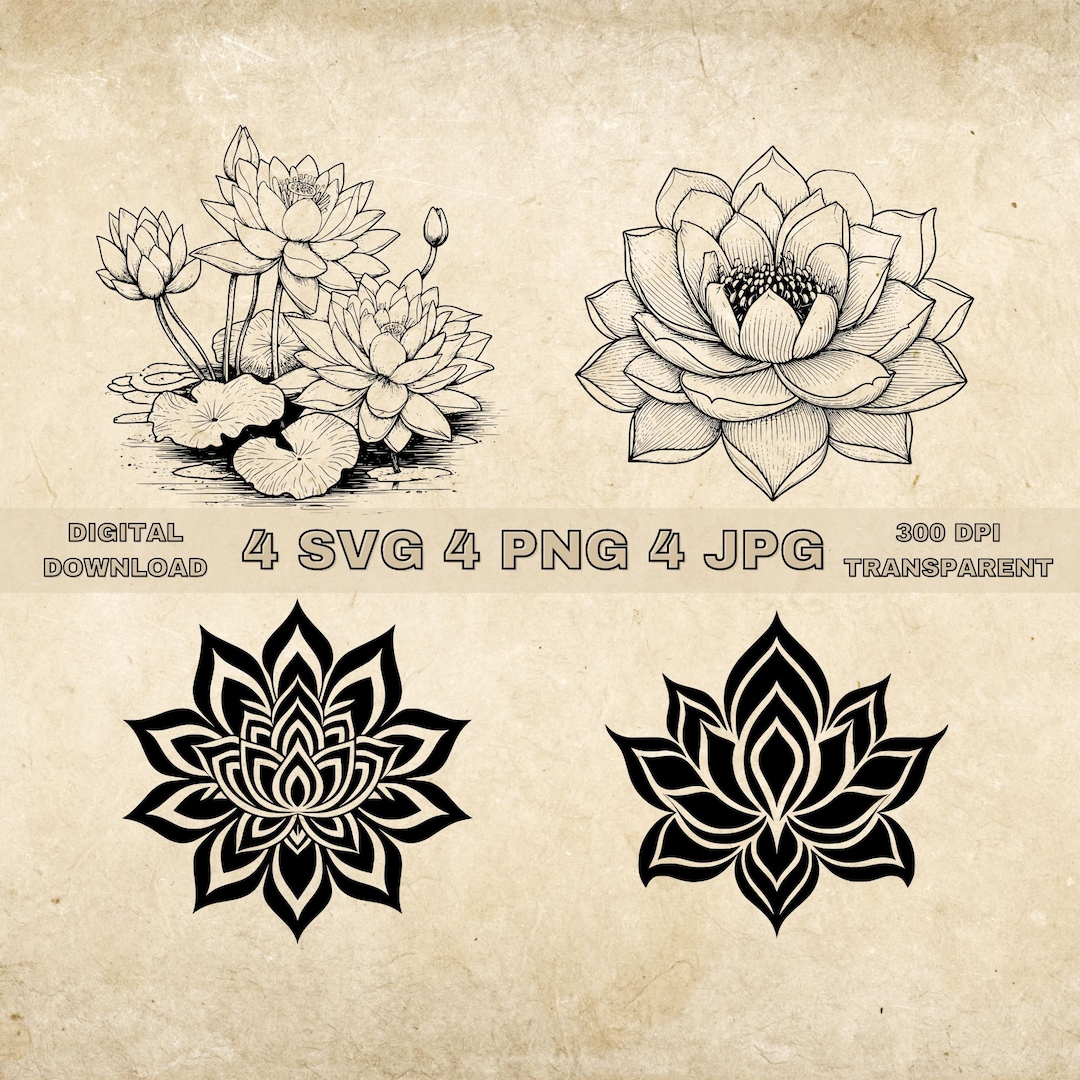 Lotus Flower SVG Bundle, PNG, Floral Clipart, Hand Drawn Lotus Graphic ...