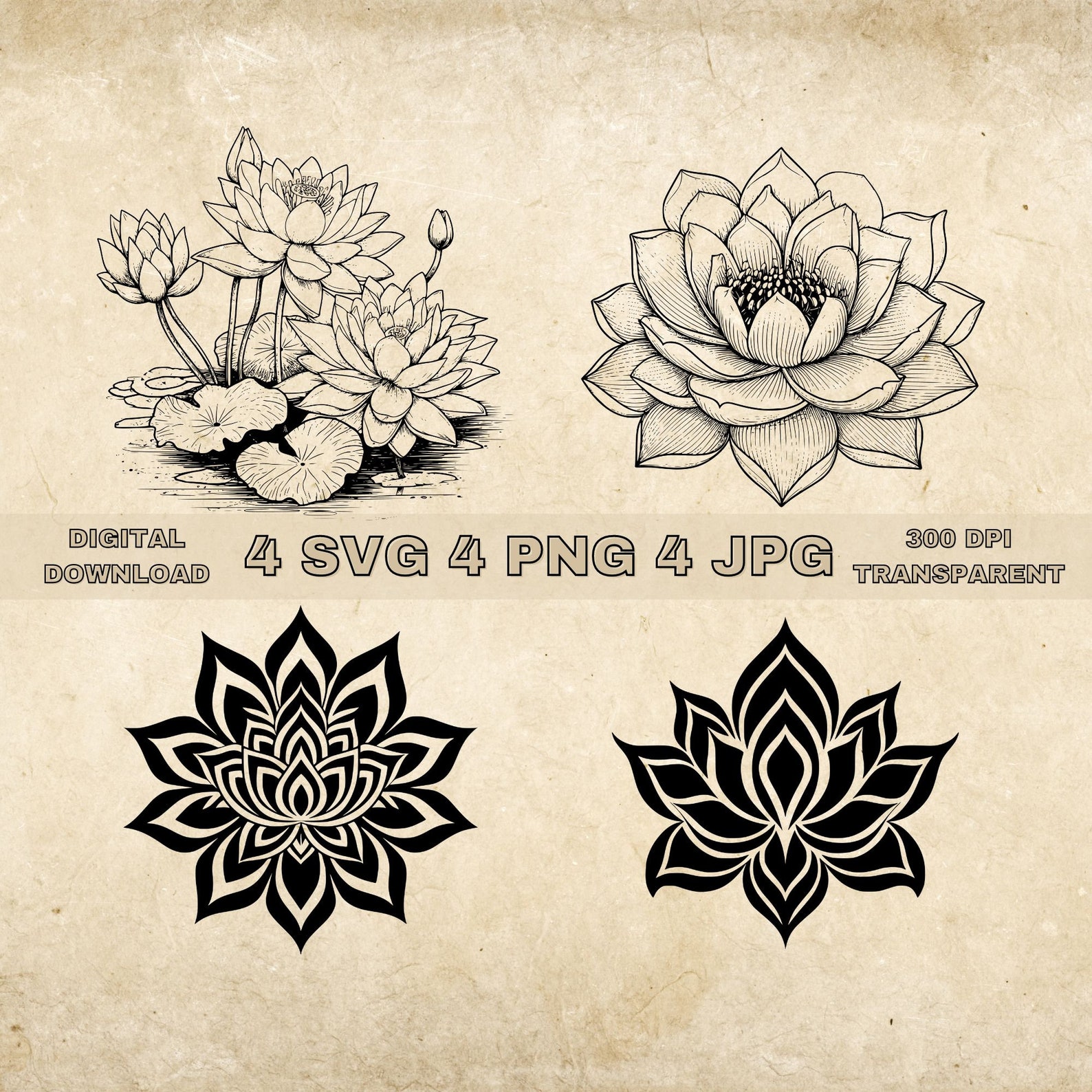 Lotus Flower SVG Bundle, PNG, Floral Clipart, Hand Drawn Lotus Graphic ...