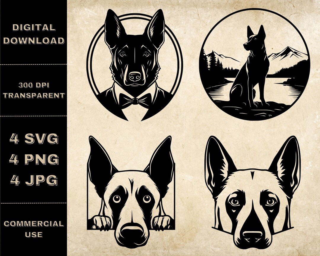 Belgian Malinois SVG Bundle, PNG, Belgian Malinois Clipart, Hand Drawn ...