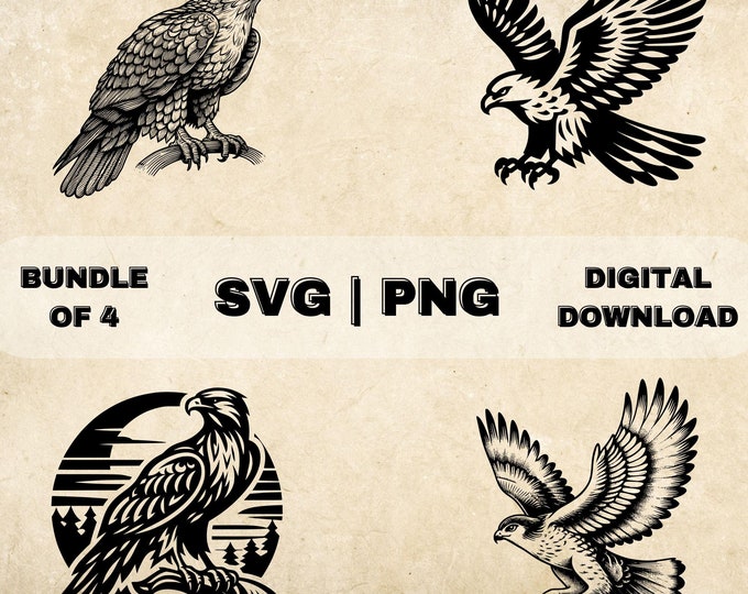 Hawk Cartoon Illustration Black and White Bundle 2 60 Digital Line Ai ...