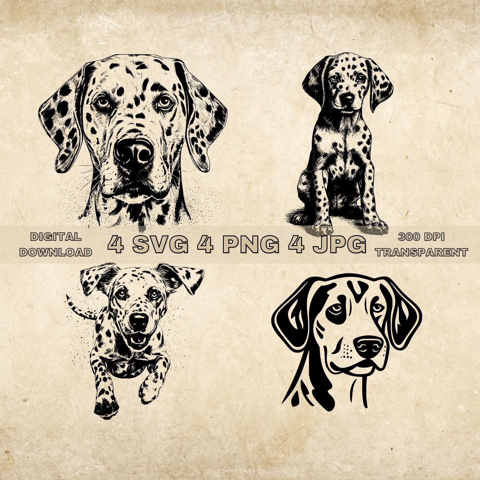 Dalmatian SVG Bundle, PNG, Cute Dogs Clipart, Hand Drawn Dog Vector ...