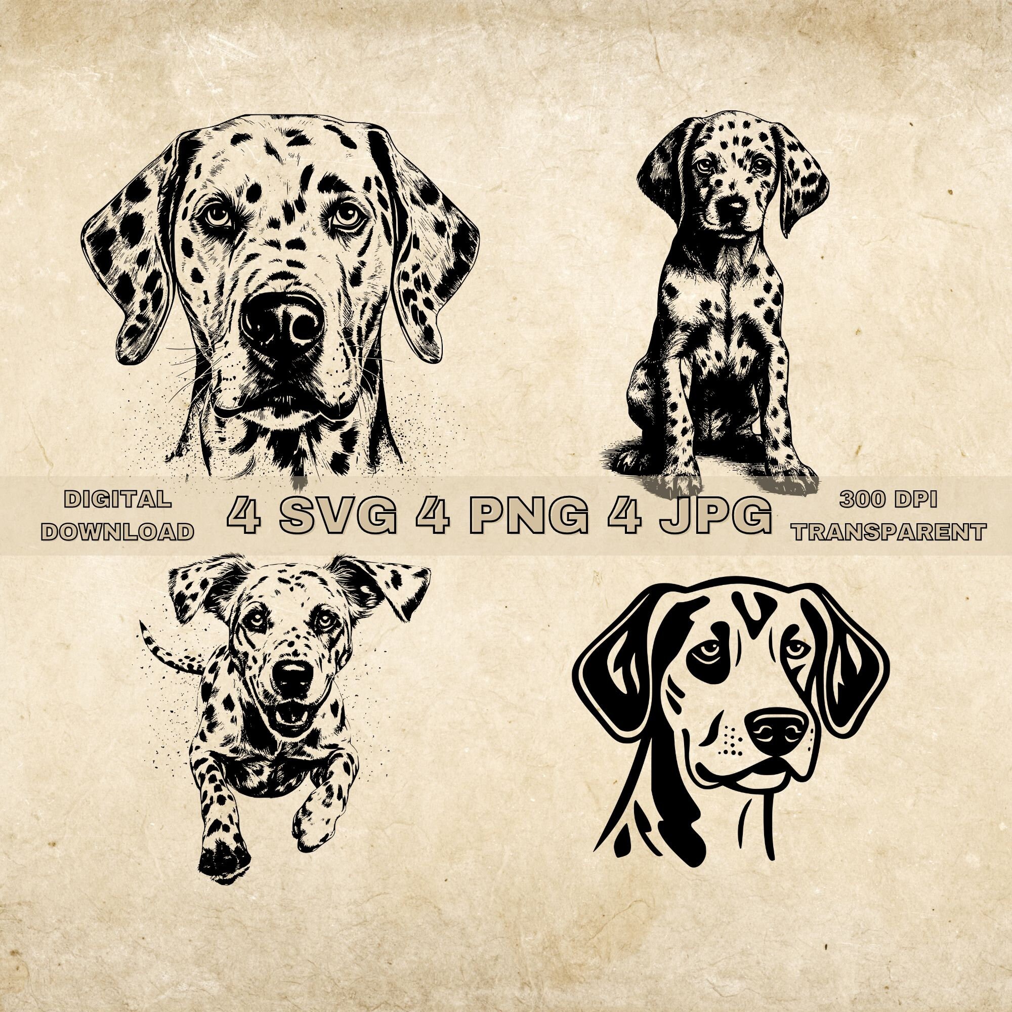 Dalmatian SVG Bundle, PNG, Cute Dogs Clipart, Hand Drawn Dog Vector ...