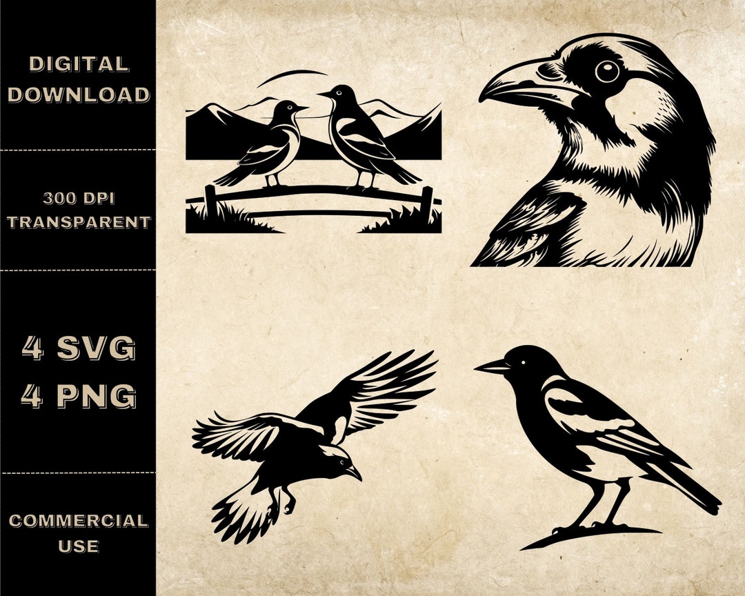 Magpie SVG Bundle, PNG, Birds Clipart, Hand Drawn Bird Vector ...
