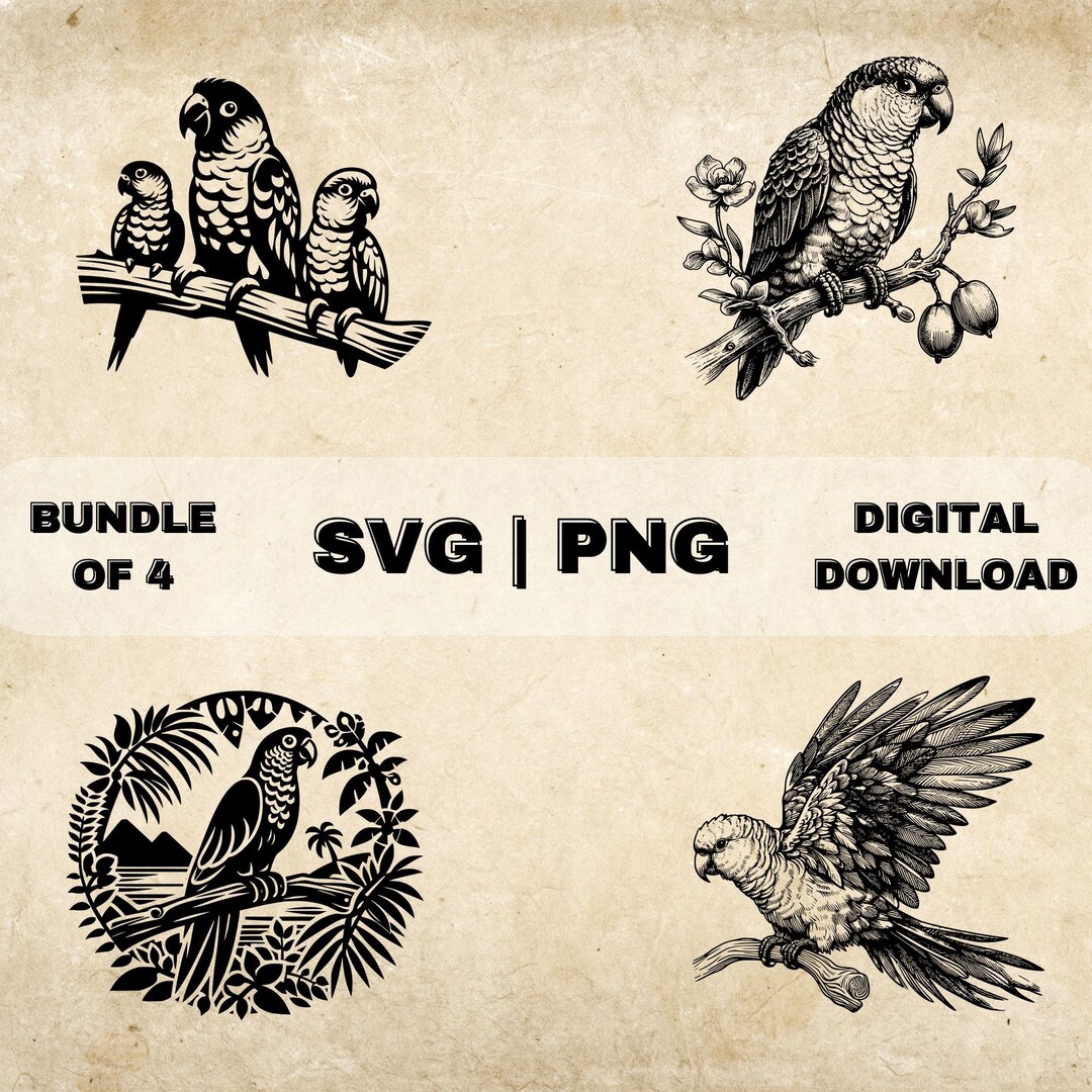 Conure SVG Bundle, Parrot Clipart, Hand Drawn Conure Bird Theme Vector ...