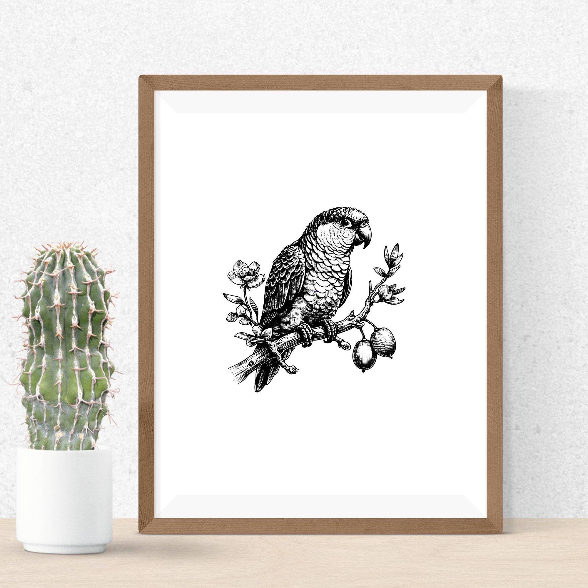 Conure SVG Bundle, Parrot Clipart, Hand Drawn Conure Bird Theme Vector ...
