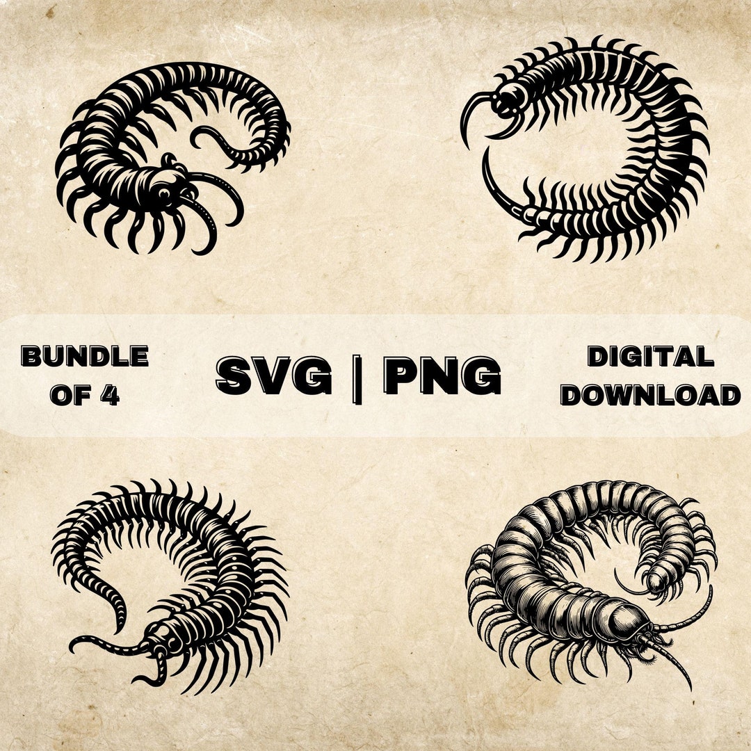 Centipede SVG Bundle, Insect Clipart, Hand Drawn Centipede Bug Lover ...