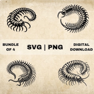 Centipede SVG Bundle, Insect Clipart, Hand Drawn Centipede Bug Lover ...