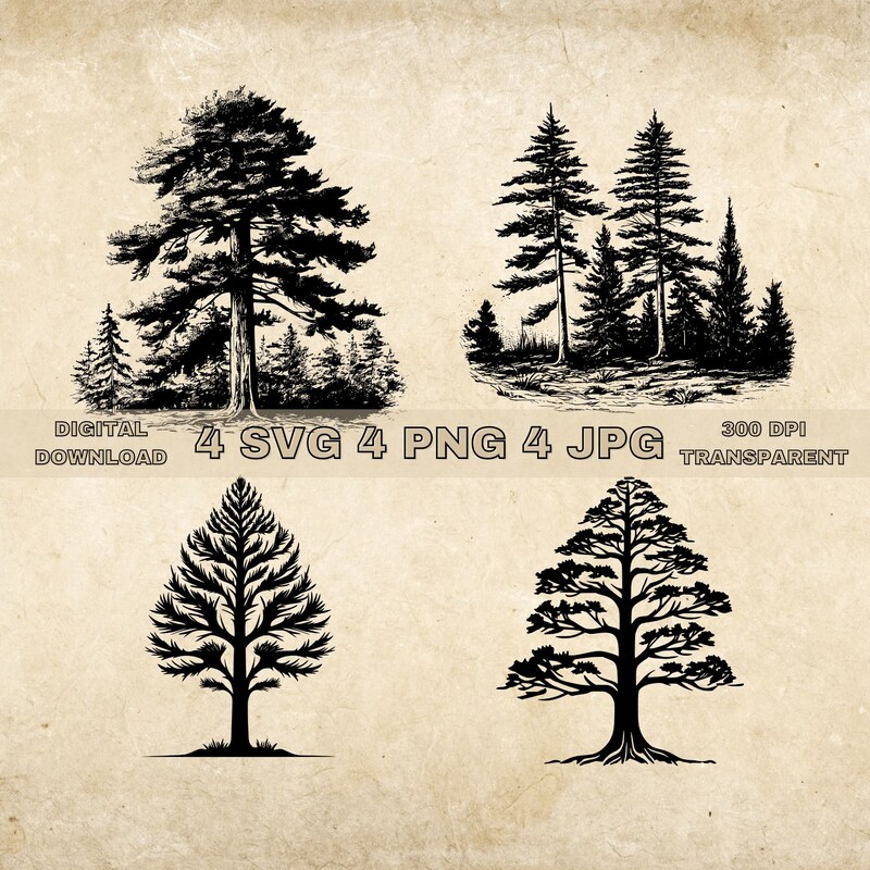 Pine Tree Svg - Etsy