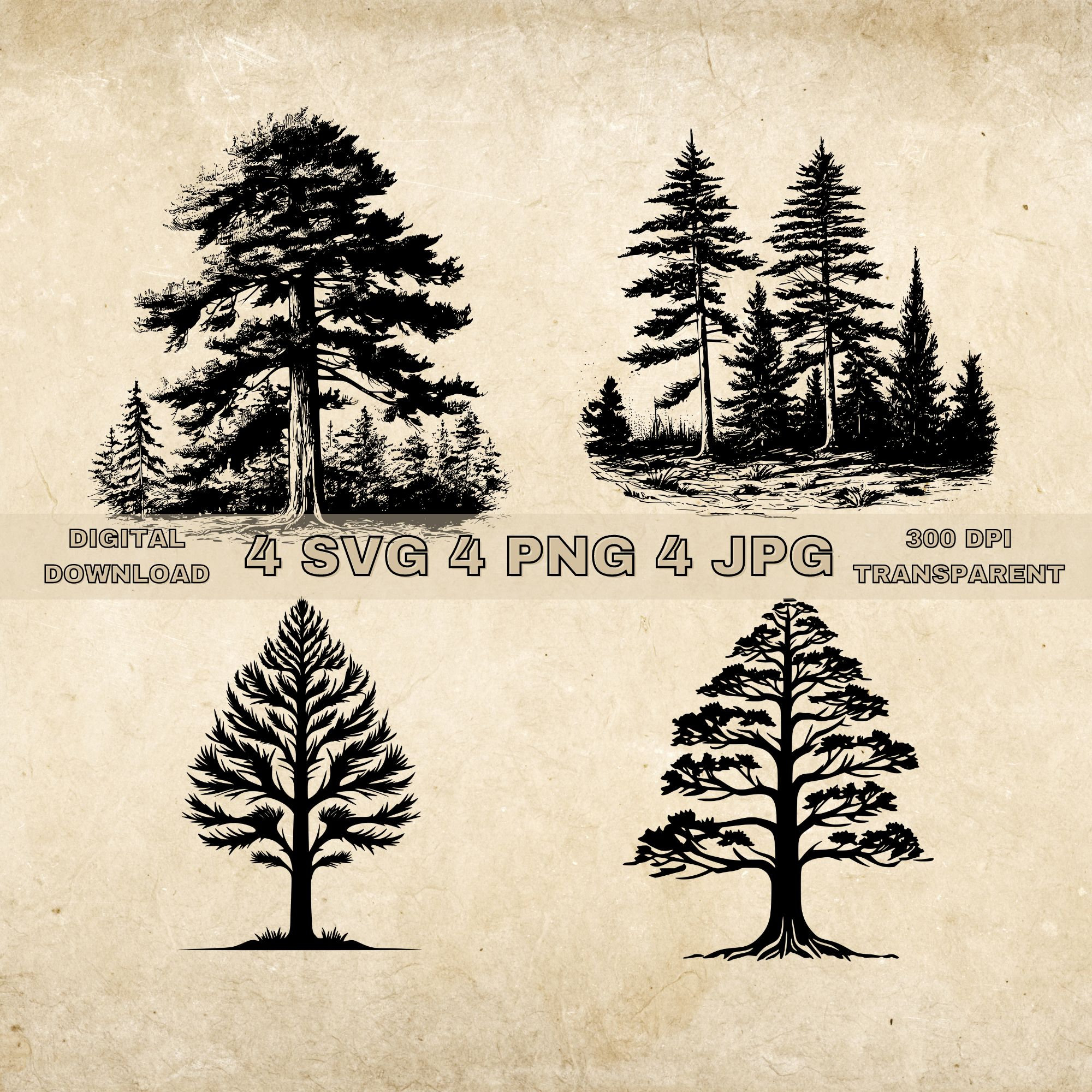 Pine Tree SVG Bundle PNG Pine Trees Clipart Hand Drawn Tree - Etsy