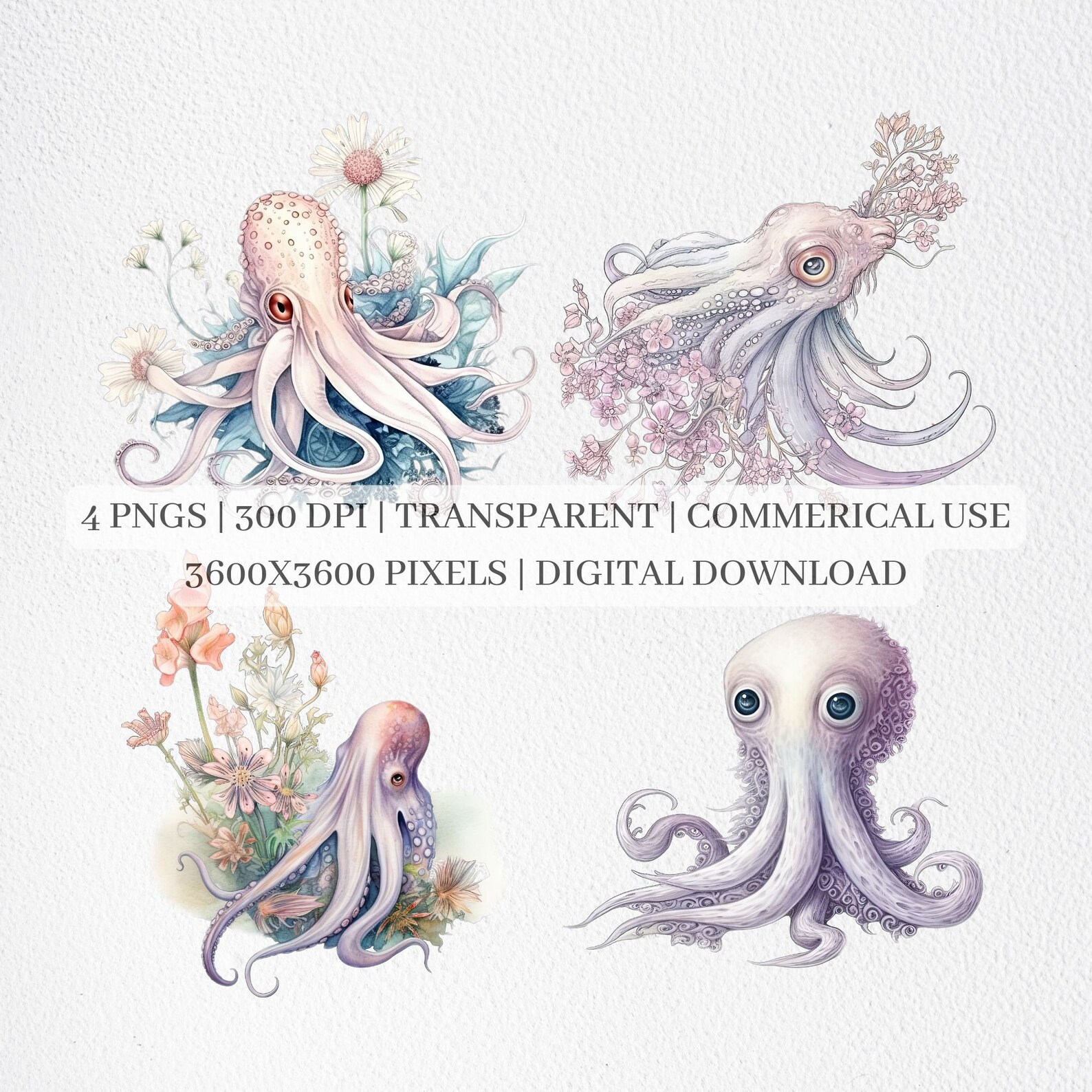 Squid Clipart, Watercolor Squid PNG Files for Sublimation, Squids Clip ...