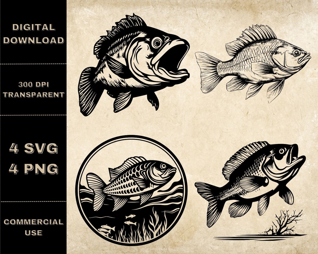 Perch Fish SVG Bundle, PNG, Fishes Clipart, Hand Drawn Fishing Vector ...