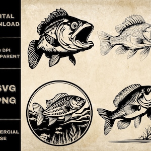 Perch Fish SVG Bundle, PNG, Fishes Clipart, Hand Drawn Fishing Vector ...