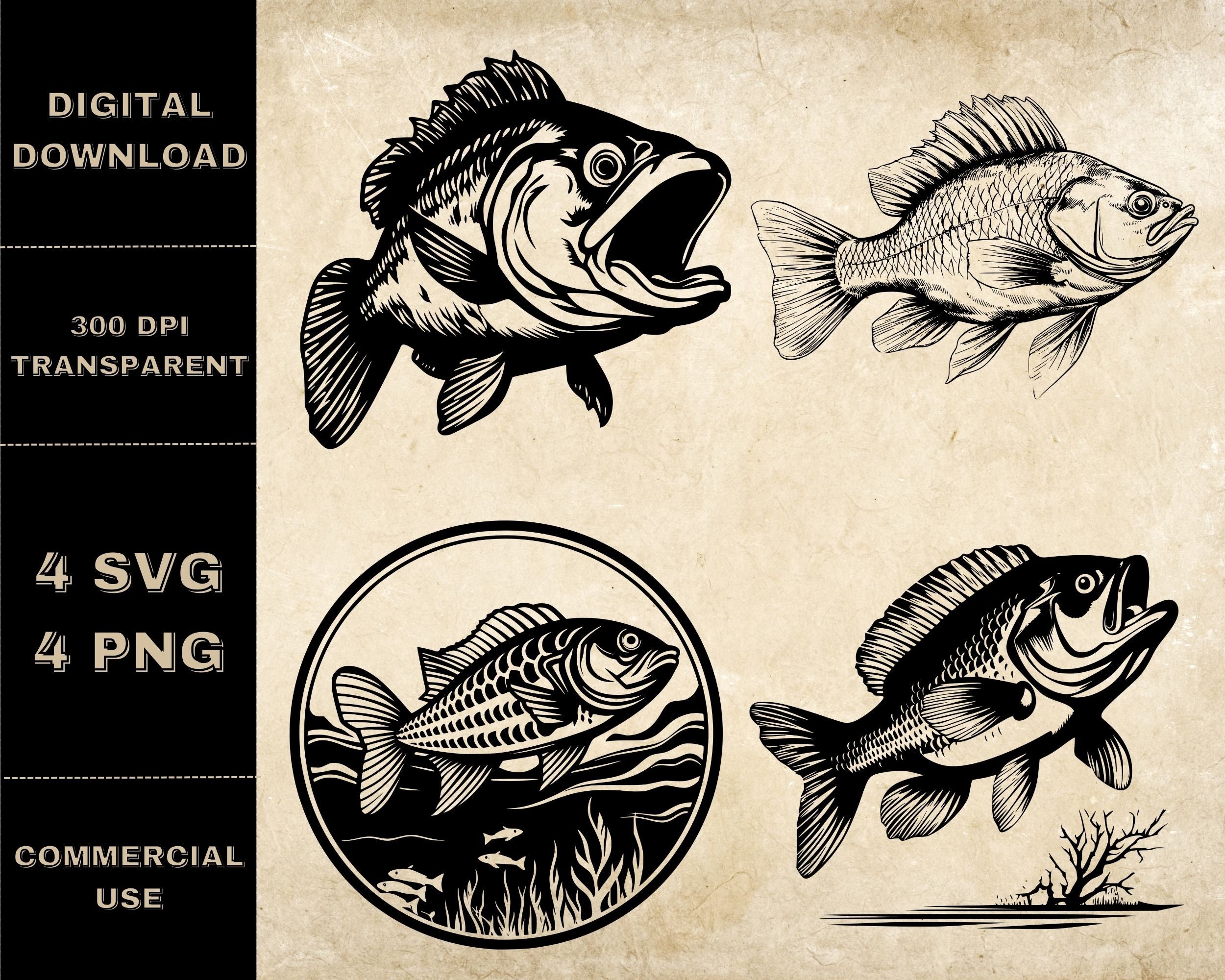Perch Fish SVG Bundle PNG Fishes Clipart Hand Drawn Fishing - Etsy