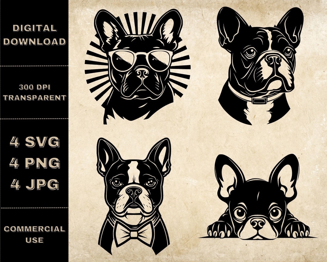 French Bulldog SVG Bundle, PNG, Cute Frenchie Clipart, Hand Drawn ...