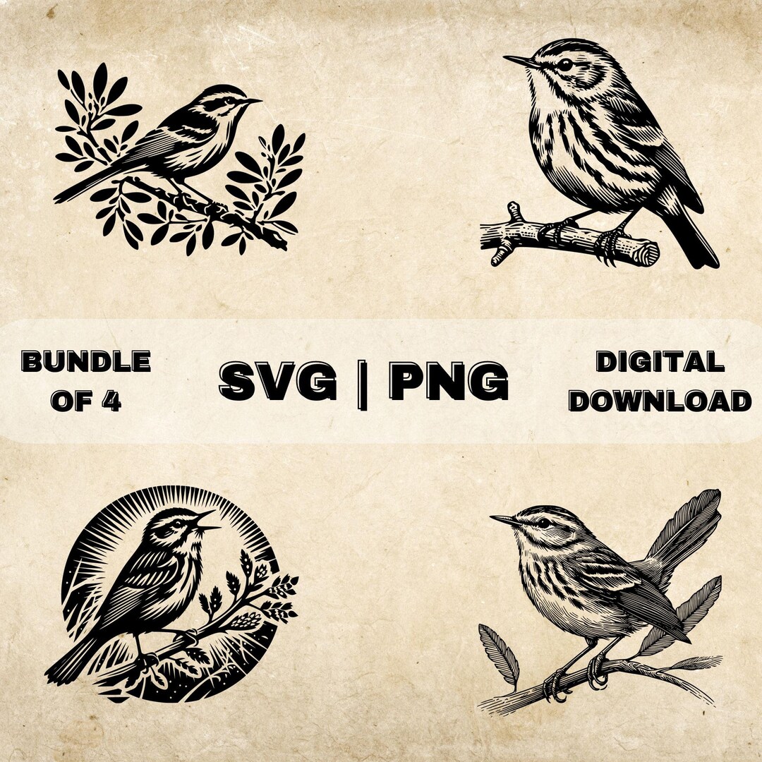 Warbler SVG Bundle, Warbler Clipart, Hand Drawn Bird Lover Theme Vector ...