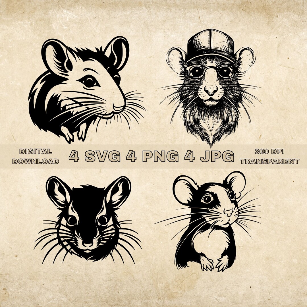 Rat SVG Bundle, PNG, Mouse Clipart, Hand Drawn Rats Vector Illustration ...