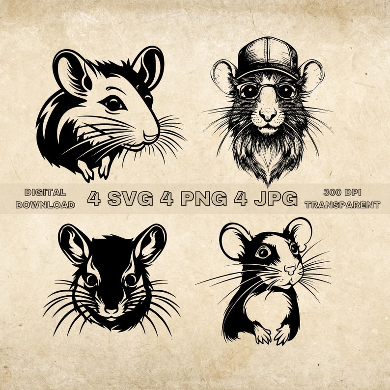 Rat SVG Bundle PNG Mouse Clipart Hand Drawn Rats Vector - Etsy