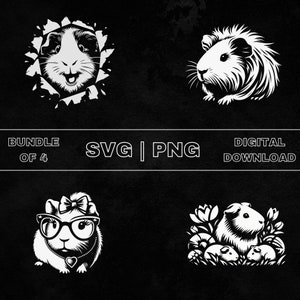 Guinea Pig SVG Bundle, Guinea Pig Clipart, Hand Drawn Guinea Pig Theme ...