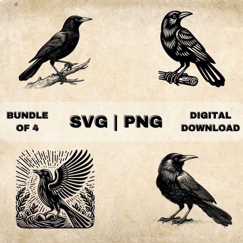 Grackle SVG Bundle, Bird Clipart, Hand Drawn Grackle Theme Vector ...