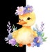 Cute Baby Duck Clipart, Watercolor Little Ducks PNG Files, Animals Clip ...