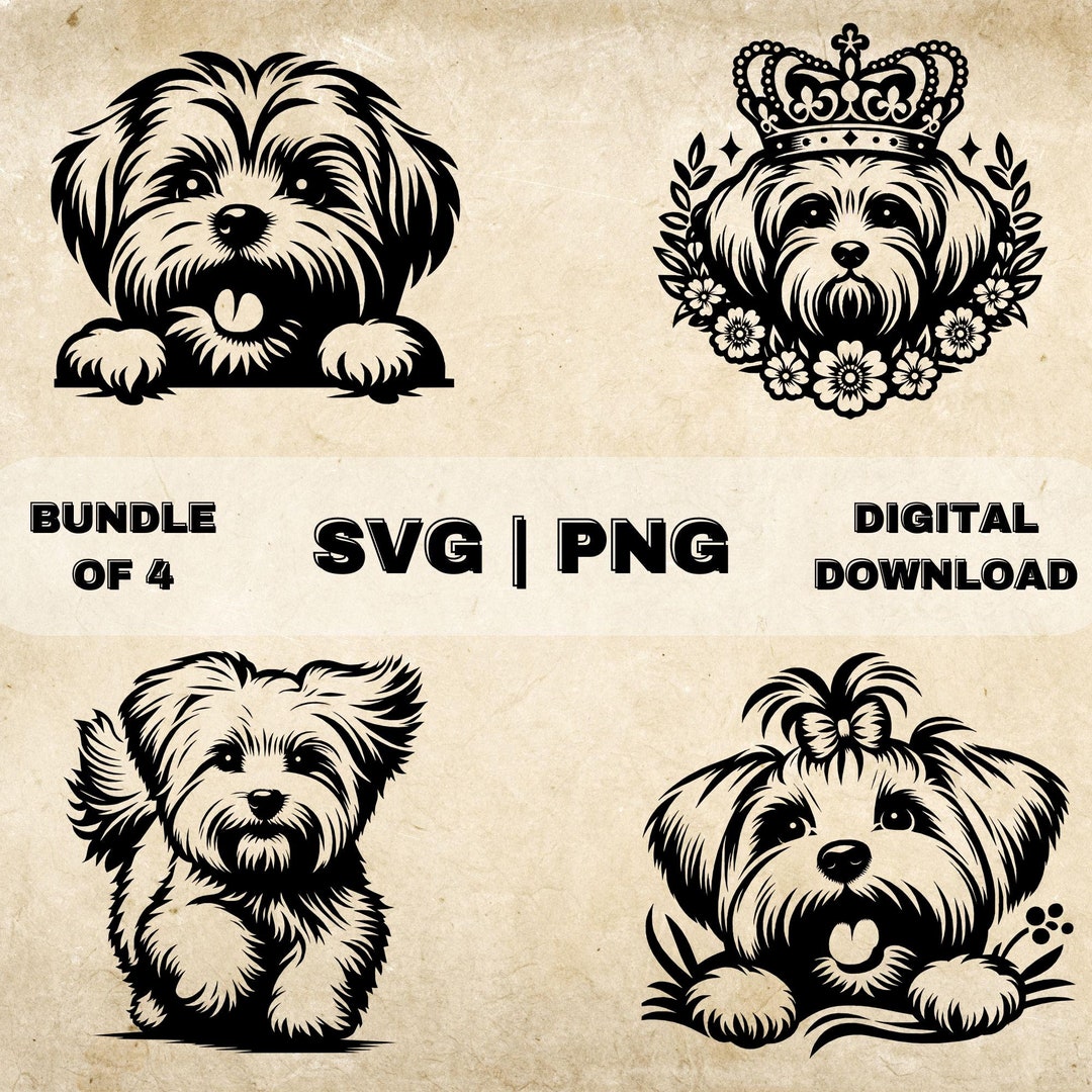Maltese SVG Bundle, Maltese Clipart, Hand Drawn Dog Theme Vector ...