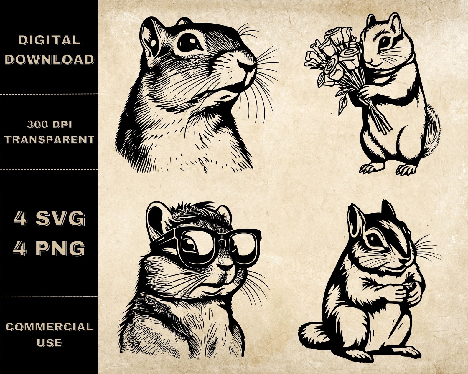 Chipmunk SVG Bundle, PNG, Cute Chipmunk Clipart, Hand Drawn Chipmunk ...