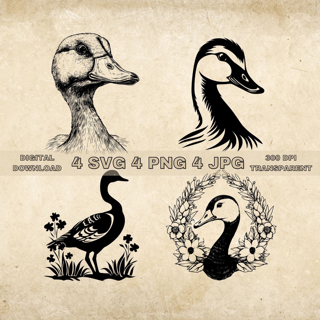 Goose SVG Bundle, PNG, Goose Clipart, Hand Drawn Goose Vector ...