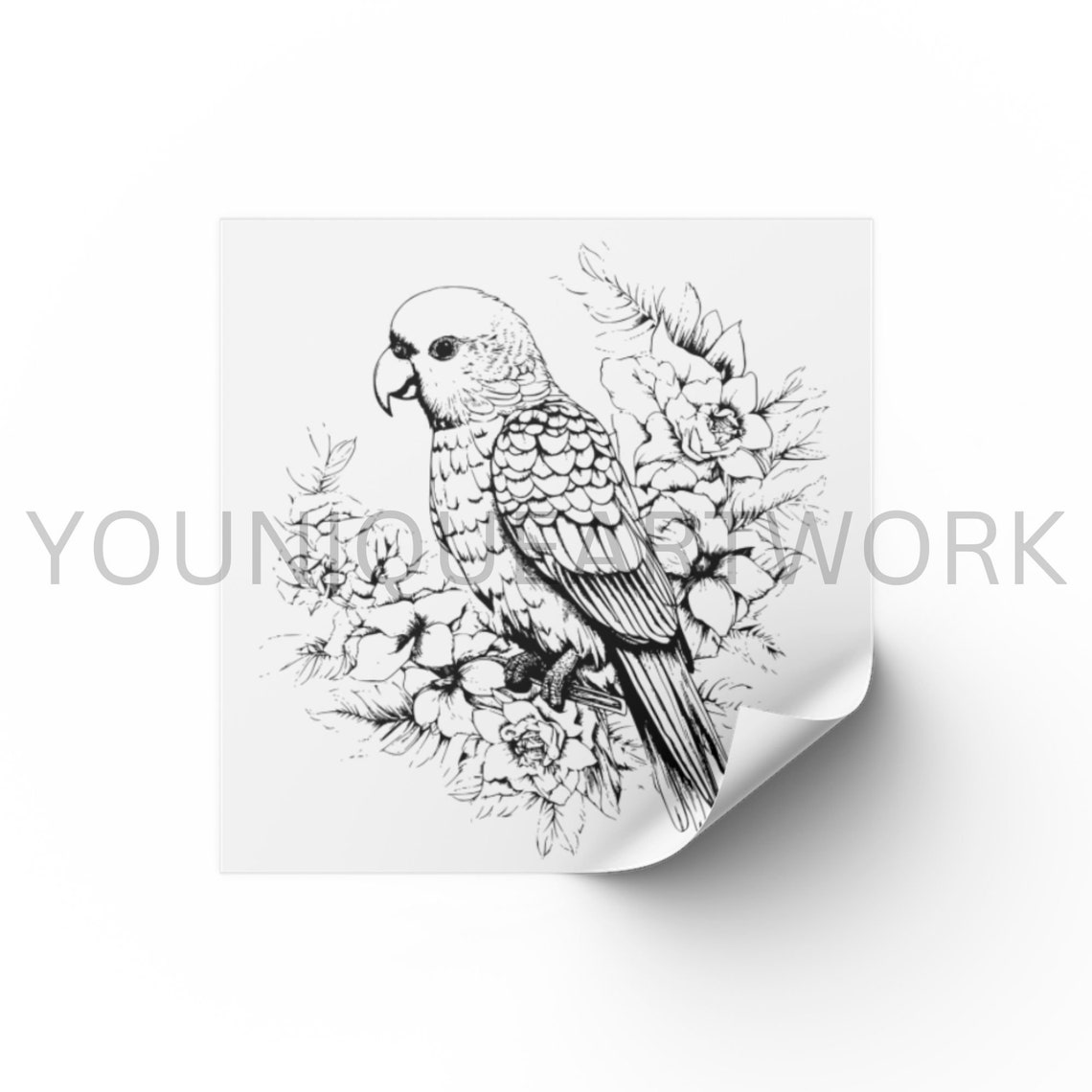 Parakeet SVG Bundle, PNG, Parrot Clipart, Hand Drawn Birds Vector ...