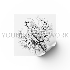 Parakeet SVG Bundle, PNG, Parrot Clipart, Hand Drawn Birds Vector ...