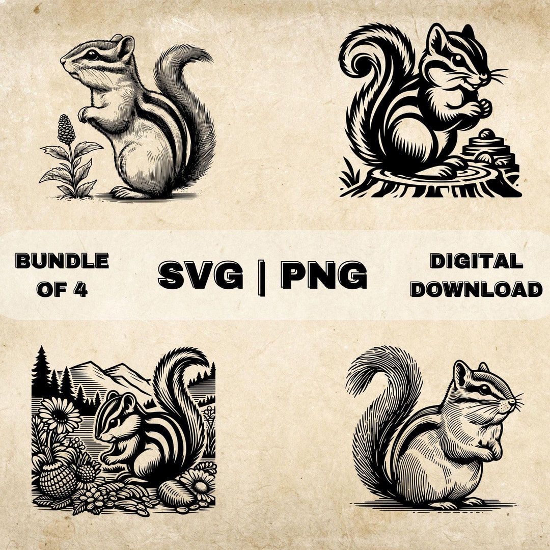 Chipmunk SVG Bundle, Chipmunk Clipart, Hand Drawn Rodent Lover Theme ...
